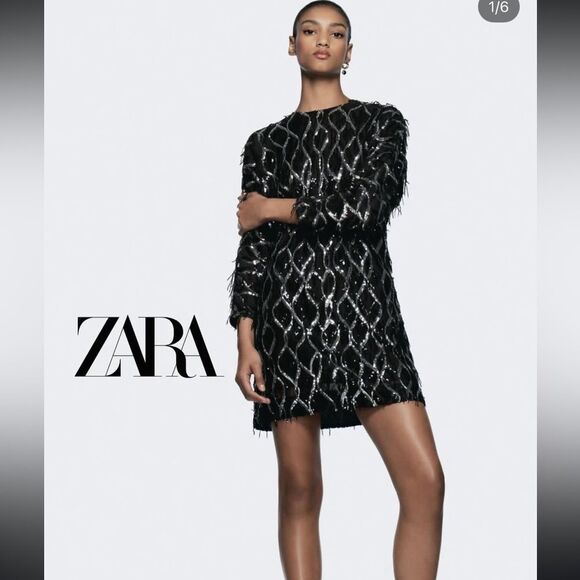 Zara | Dresses | Zara Mini Dress With Fringing And Sequins | Poshmark